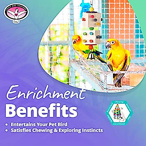 Super Bird Creations SB1103 Parrot-Dice Bird Toy, Medium Bird Size, 9" x 2.5" x 2.5"