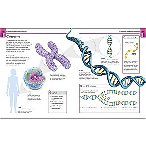 Super Simple Biology: The Ultimate Bitesize Study Guide (DK Super Simple)