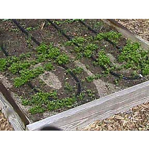 Rocky Mountain Goods Soaker Hose Flat (50’ Pack of 2) - Heavy Duty Double Layer Design - Saves 70% Water - Consistent Drip Throughout Hose - Leakproof Guarantee - Garden/Vegetable Safe