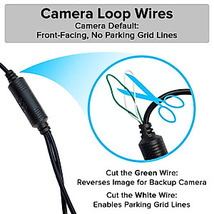 Master Tailgaters Small License Plate Frame Backup or Front Camera | 8 IR LED Night Vision | IP68 Waterproof | 170° Wide Angle Camera | 1000 TVL | Parking Grid Lines Available | Universal Fit