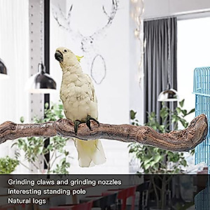 COUNER Bird Parrot Perch Stand Natural Wild Grape Stick Bird Play Stand Bird Toys Grinding Paw Cage Accessories for Cockatiels Budgie Parakeets Conures Love Birds Finches