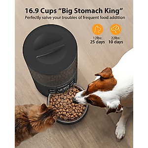 Molypet Automatic Cat Feeders with Timer - 4L Cat Food Dispenser of 6 Meals with 10S Voice Recorder and Desiccant Bag, Support Dual Power for Cats and Dogs