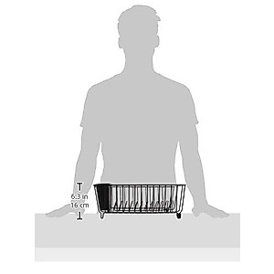 Rubbermaid Dish Drainer, Small, Black