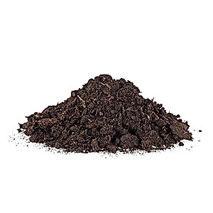 Succulent Cactus Seed DIY Terrarium Germination Starter Kit for Indoor Garden Growing - Mini Terrarium Kit with Seeds, Soil, Rocks, Moss, Pea Gravel, Activated Charcoal, and Burlap Potting Planters