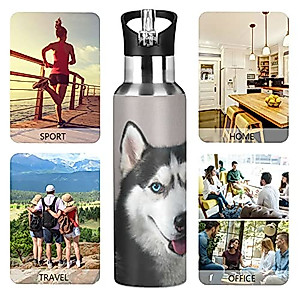 Oarencol Husky Dog Water Bottle Cute Animal Stainless Steel Vacuum Insulated Thermos with Straw Lid 20 Oz