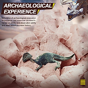 Touber Dinosaur Eggs Excavation, Dig a Dozen Dino Eggs Kit Dinosaur Eggs for 4-11 Year Olds Kids Easter Gifts for 5-12 Year Olds Boys Girls Easter Toys for Kids STEM Games for Kids 6-13 - Easter Eggs