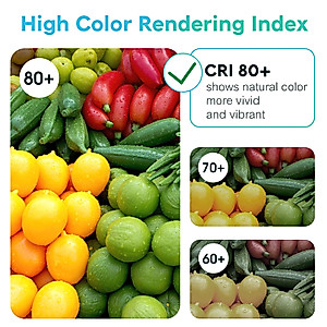 Gonhom 3 Way LED Light Bulbs 50 100 150W Equivalent, Daylight White 5000K 3 Way Light Bulbs, A19 Three Way Light Bulbs,E26 Base 3-Way Light Bulbs for Reading,Living Room-2 Pack