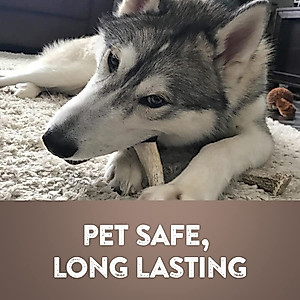 WhiteTail Naturals | 3 Pack Medium | Deer Antler Dog Chews | All Natural Organic Antlers for Dogs | Long Lasting Antler Bones for Dogs | Durable Antler Dog Toy