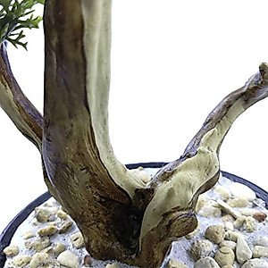 Tuokor Artificial Bonsai Tree 10.5 Inch Tall Small Docorative Cypress Faux Plants in Ceramic Pot