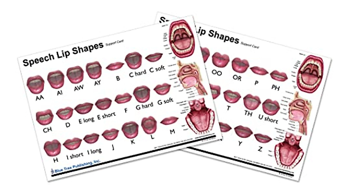 Learn Speech Lip Shapes - A4 Waterproof Chart