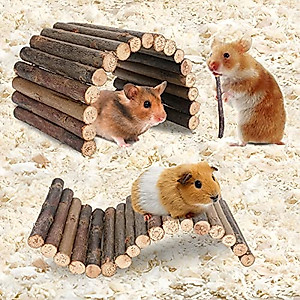Hamster Toys Guinea Pig Toys Hamster Wheel Hamster Cage Accessories Small Animal Molar Chew Toys for Chinchillas,Gerbils,Mice,Rats,Mouse,Rabbit,Bunny Hideout Seesaw (Bendable Hideout(2 Packs))