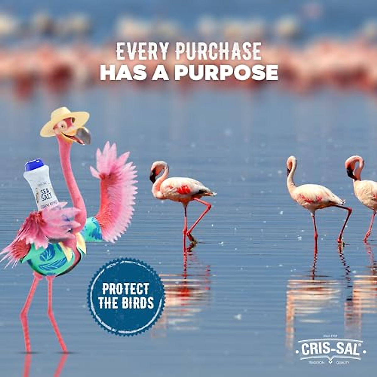 Cris-Sal Gourmet Fine Cristal Sea Salt, Full Flavor Premium Natural Grain, Great for Cooking, Table Seasoning Recipes, Pantry Friendly, 17.63 Oz