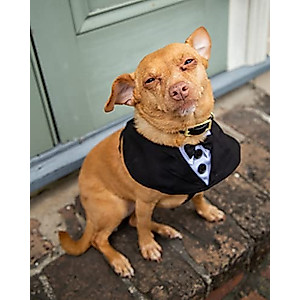 Dog Tuxedo Suit & Bow Tie Set by Pet Krewe, Stylish Wedding Tux Party Outfit for Small and Large Dogs
