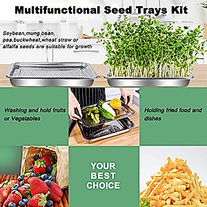 GOLOMOZ Sprouting Tray Rectangle Stainless Steel Seed Germination Tray Kit Fresh Organic Bean Sprout Grower Kit with Base Set for Beans Broccoli Sprout Alfalfa Seeds Wheat Grass Growing Kit-Small