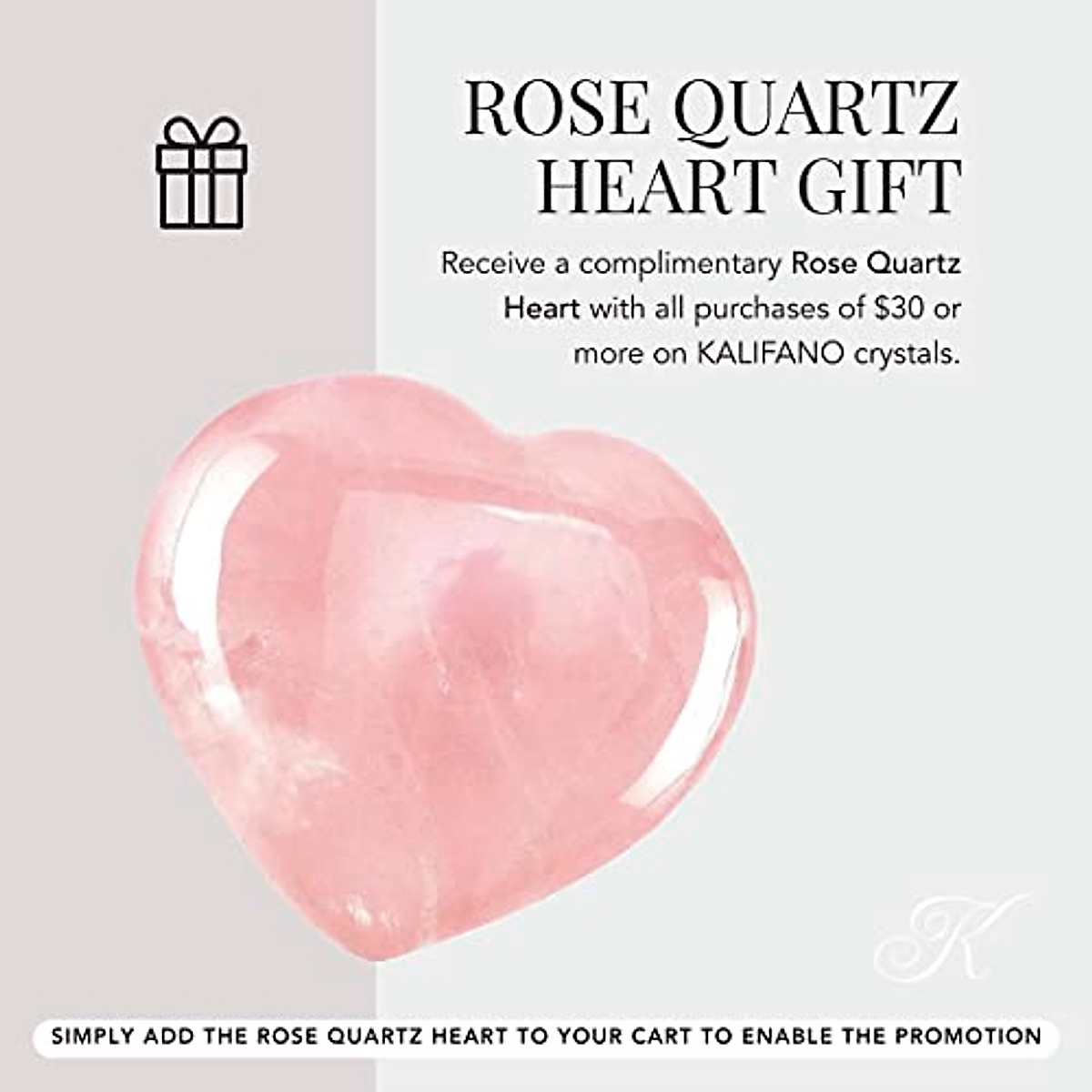 KALIFANO Authentic Large Arthropod Calymene Trilobite Fossil from Morocco - Marine Trilobita/Calymene for Fossil Collections and Education Purposes (Information Card Included)