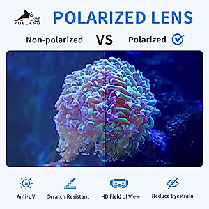 YLYUELANG Swimming Goggles with Earplug Design,No Leaking,Anti-Fog,Anti-UV,Perfect Swim Goggles for Men,Women and Youth(Black)