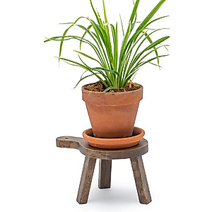 Red Co. 6 inch Tall Mini Round Boho Chic Tabletop Sustainable Rubberwood Stool Display Stand, Casual Country Potted Plant Holder, Brown