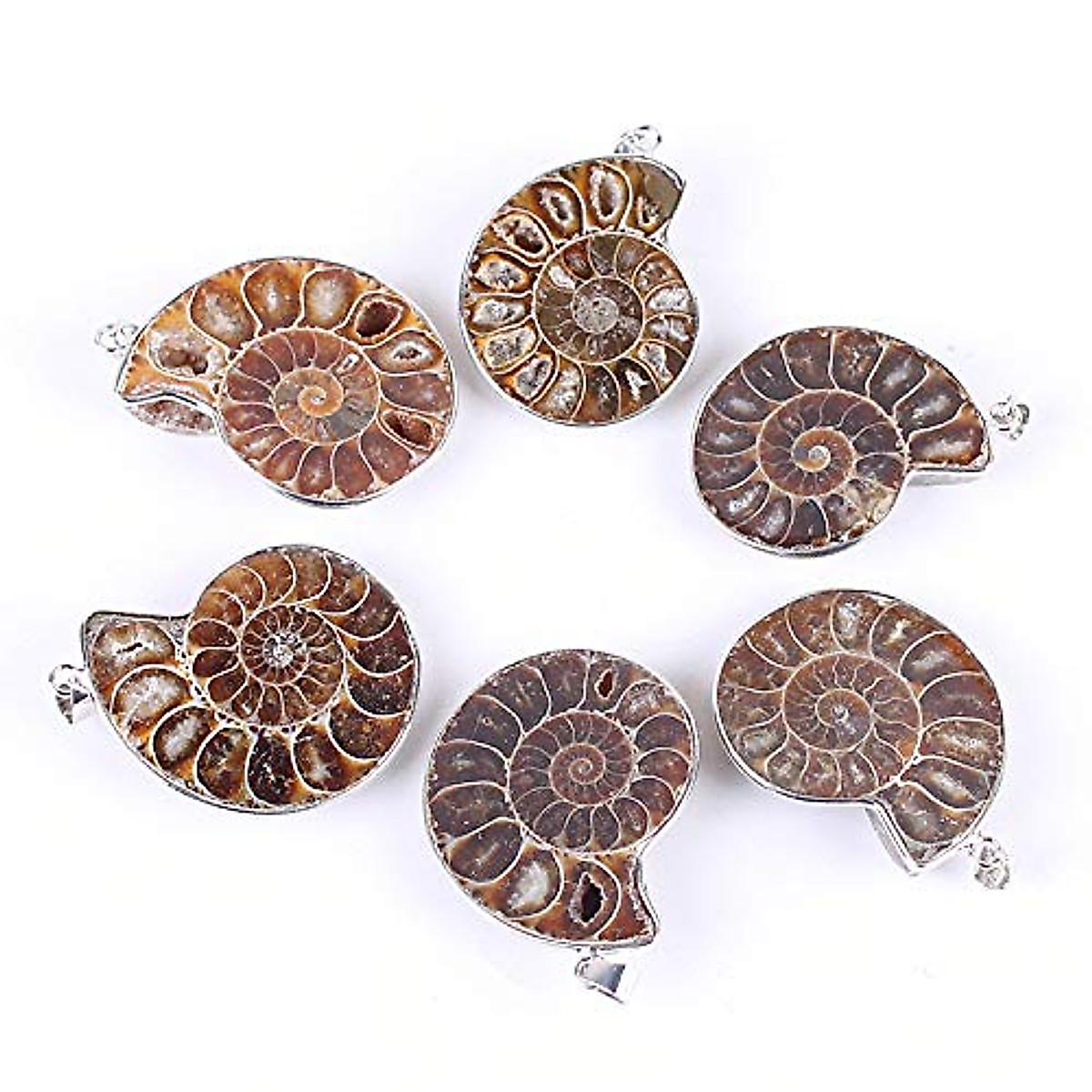CXD-GEM Spiral Natural Ammonite Shell Fossil Pendant with Sliver Wrapped Handmade Edge for Women Jewelry Gift