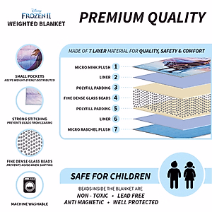 Franco Kids Bedding Super Soft Plush Weighted Blanket, 36 in x 48 in 4.5 lb, Disney Frozen 2