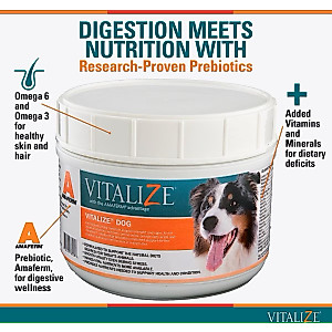 Vitalize Dog Digestive Health Powder - Relief for Constipation, Vomiting & Nausea, Skin & Coat Supplement- Multivitamin Powder with Omega 6, 3 & Biotin & Dog Prenatal Supplement (1 Pound)