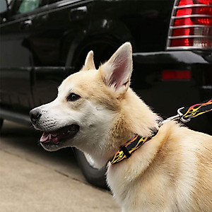 Flame Print Dog Leash - Hot Rod Flame Print Dog Leash Waterproof With Easy Grip Loop – 1 Inch x 4 Feet, Red/Yellow