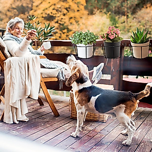 Wesiti 10 Pcs Round Hanging Flower Stand Balcony Planters Railing Hanging Metal Rack Fence Railing Planters Outdoor Balcony Flower Stand Shelf Container(10 Inch,Black)