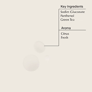 Aesop B & Tea Balancing Toner with B5 - Refines Pores, Balances, and Prepares Skin - Gentle, Alcohol-Free Blend - 6.7 oz