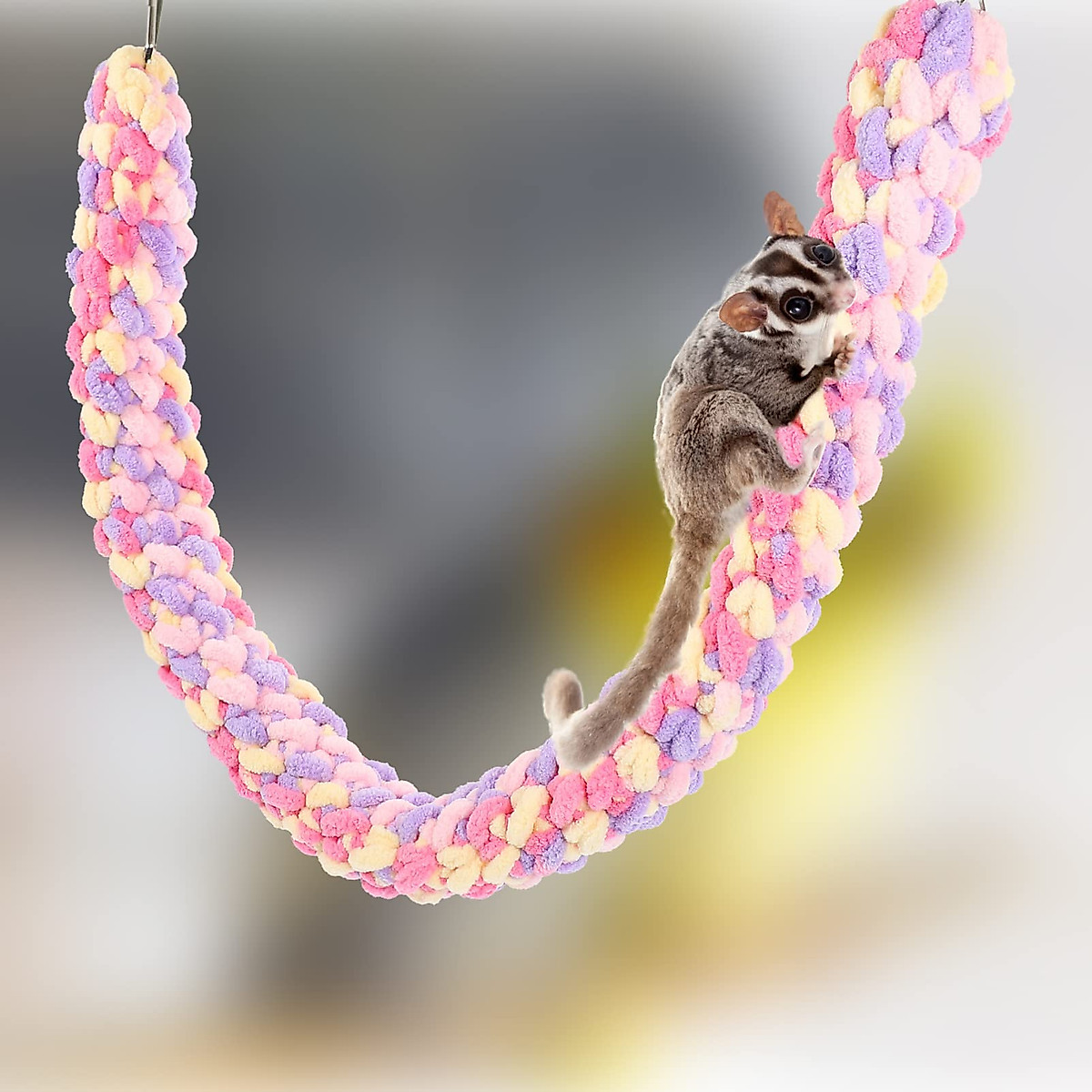 Ipetboom Sugar Glider Climbing Rope Sugar Glider Swing Toy Sugar Glider Toys Guinea Pig Toys Hanging Guinea Pig Toy Parrot Swings Toys Ferret Toys Pet Swing Braided Rope Cotton Rope Bite