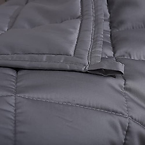 George's Dinosaur Weighted Blanket Breathable Heavy Blanket with Glass Beads Big Blanket for Adult All-Season Fall Winter Soft Thick Comfort Blanket No Leaking Glass Beads(48"x72"-10lbs Dark Gray)