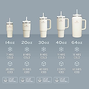 Stanley Quencher H2.0 Tumbler with Straw 14 oz | Flowstate 3-Position Lid | Cup Holder Compatible for Travel | Insulated Stainless Steel Cup | BPA-Free | Black 2.0