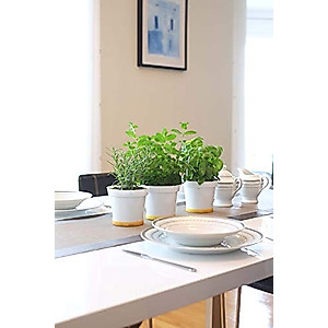 Inspirer Studio® Roman Extendible Dining Table Pedestal Table MDF High-Gloss White (Table ONLY)