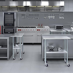 Commercial Stainless Steel Work Table with Undershelf & Casters (14X30)