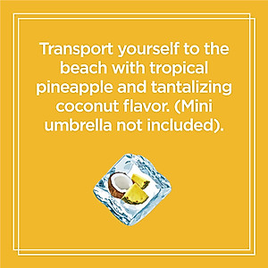 Sparkling Ice, Coconut Pineapple Sparkling Water, Zero Sugar Flavored Water, with Vitamins and Antioxidants, Low Calorie Beverage, 17 fl oz Bottles (Pack of 12)