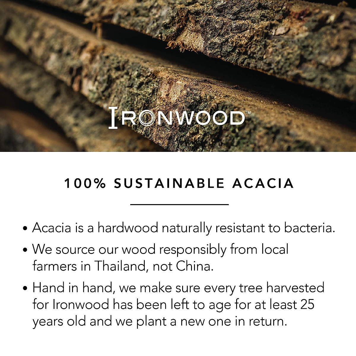 Ironwood Gourmet Fort Worth Steak Plate with Juice Channel, Acacia Wood 13 x 11 x 0.75 -inches