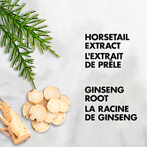 Shea Moisture Cannabis Sativa Hemp Seed Oil Lush Length Conditioner Unisex, 12.98 Fl Oz (Pack of 1)