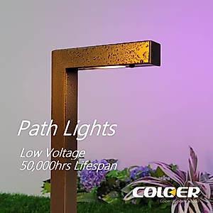 COLOER Die-cast Brass 12V LED Low Voltage Landscape Lighting Kit, IP65 Waterproof Outdoor Lights for Yard, Spot Light and Garden Path Lights Outside (4 Sootlight(101B)+2 Pathlight(603B) with Bulb)