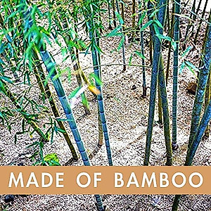 laboos Best Nature Manual Color Bamboo Toothbrush, New Extra Soft Compact Bristle Toothbrush,Best Biodegradable Toothbrush for Gingivitis and Sensitive Teeth. (4 PCS)