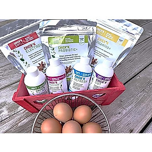 Chick'N Electrolyte for poultry