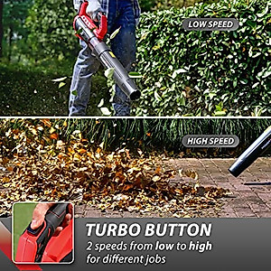 PowerSmart 20V Cordless Leaf Blower with Two 2.0 Battery, Variable Speed Control