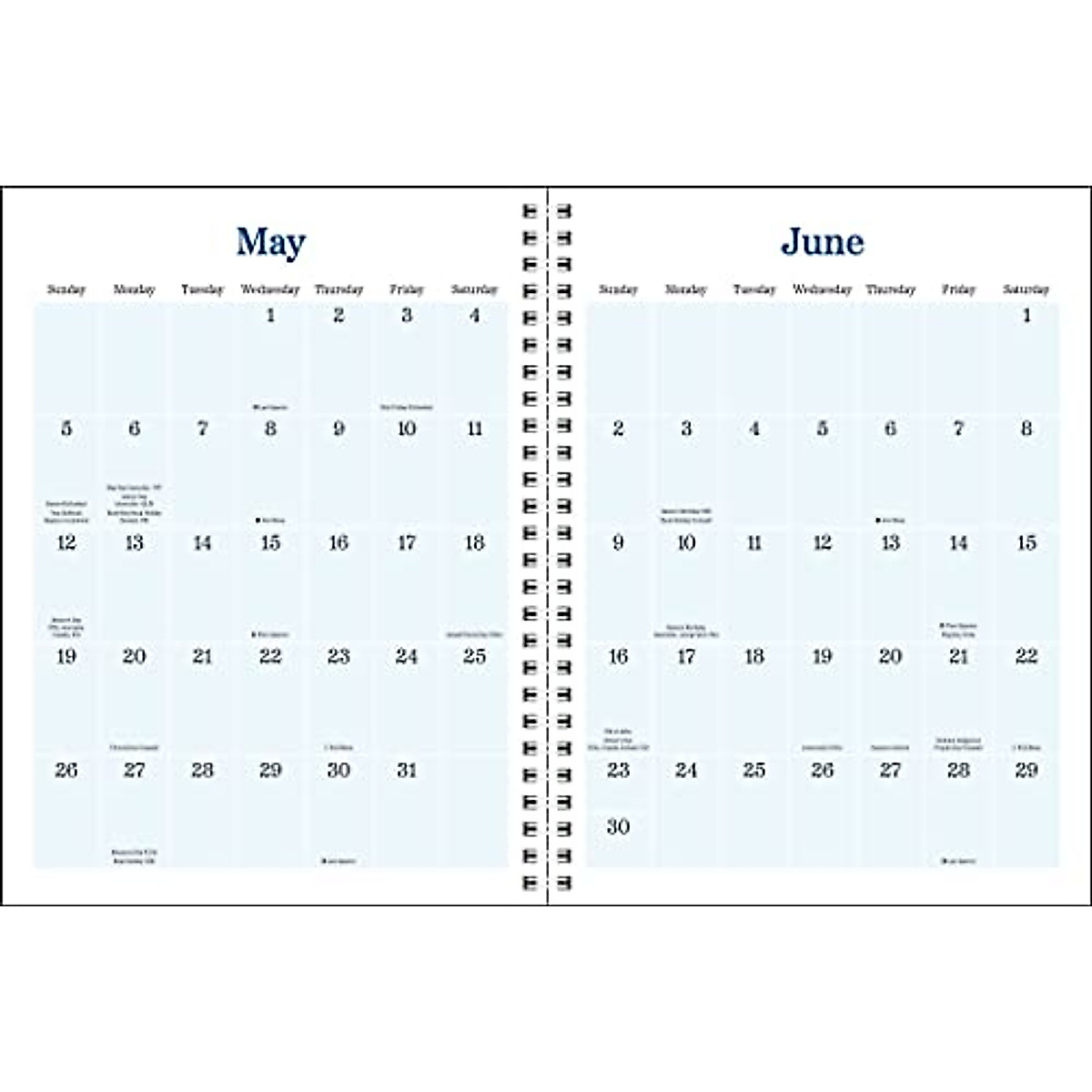 Disney Dreams Collection by Thomas Kinkade Studios: 12-Month 2024 Monthly/Weekly