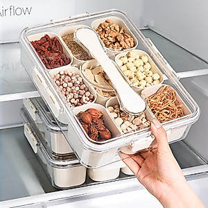 HINIHAO Divided Serving Tray with Lid and Handle, Removable Divided Platter Food Storage Containers with 9 Compartment, Small Boxes for Onion, Ginger, Garlic, Cherry