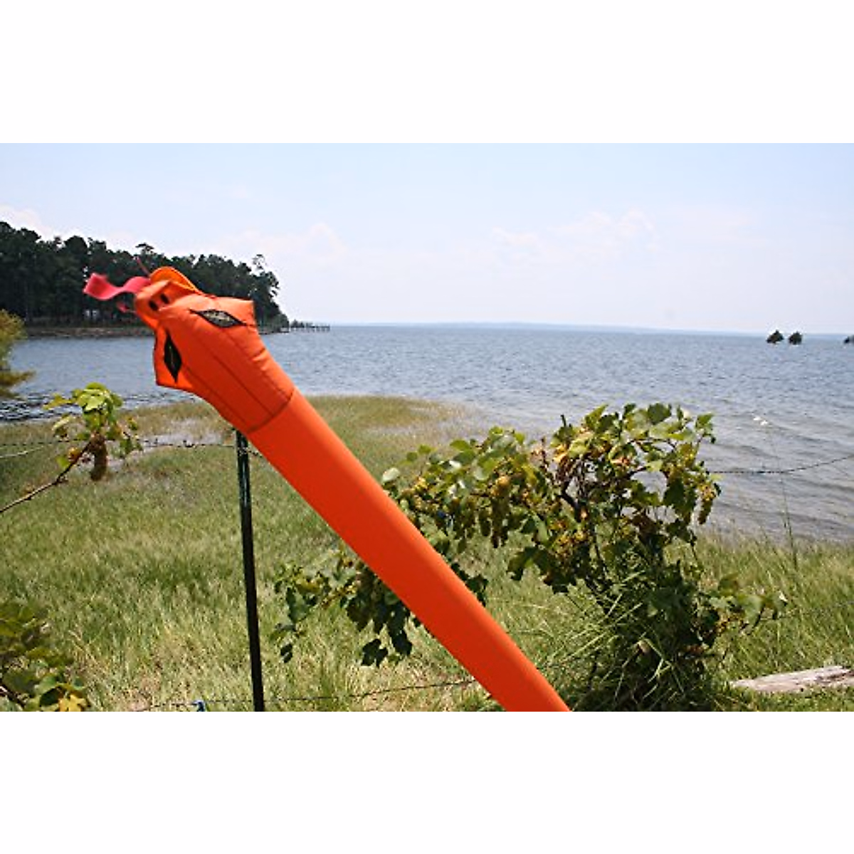 AirCrow Inflatable Scarecrow Blower, 1/4 HP