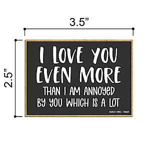 Honey Dew Gifts, Every Once in a While Someone Amazing Comes Into Your Life You're Welcome, 3.5 Inches by 2.5 Inches, Locker Decorations, Refrigerator Magnets, Decorative Magnets, Funny Magnets