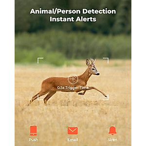 REOLINK KEEN Ranger PT Cellular Trail Camera, 3G/4G LTE, 360° Full View, 2K Live Video&Playback on Phone, No-Glow IR, Solar Powered Game Camera, 2K Night Vision, Smart Motion Activated, No WiFi Needed