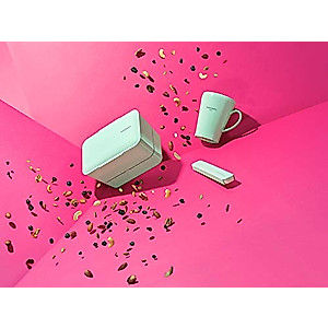 TAKENAKA Bento Bite Dual from, Eco-Friendly and Sustainable Japanese Style Bento Lunch Box (Peppermint)