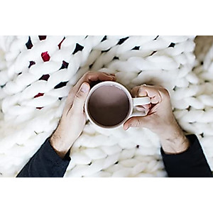 Land O Lakes Cocoa Classics S'mores Cocoa Mix Pouch, 14.8 Ounce (Pack of 1)