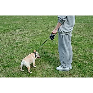 PINA Retractable Dog Leash, 26ft Dog Leash for Small Medium Large Dogs Up to 110lbs, 360° Tangle-Free Reflective Nylon Tape, with Anti-Slip Handle, One-Handed Brake, Pause, Lock - Black & Blue /2PACK