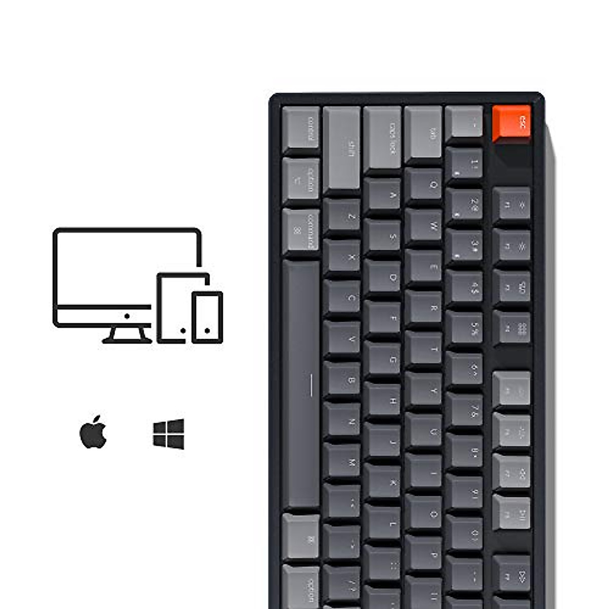 Keychron K8 Wireless Bluetooth/USB Wired Mechanical Keyboard, Hot-swappable Tenkeyless 87 Keys RGB LED Backlit Gateron Blue Switch N-Key Rollover, Aluminum Frame for Mac and Windows