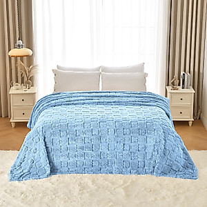GIOKARNNA Bunny Checkered Throw Blankets,Soft Warm Blankets for Lover Women Men Friends Gifts Pets,Lightweight Fuzzy Blanket for Couch Sofa Bed Travel and Camping(Blue,50"x60")
