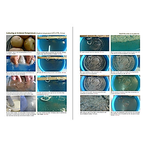 JADAM Organic Farming (Second Edition) : Innovative organic farming technology established in Korea. No-till, Weed free, and High-Yield, Ultra-Low-Cost cultivation technologies that can dramatically help reduce the labor force. Make your own All - Powerfu